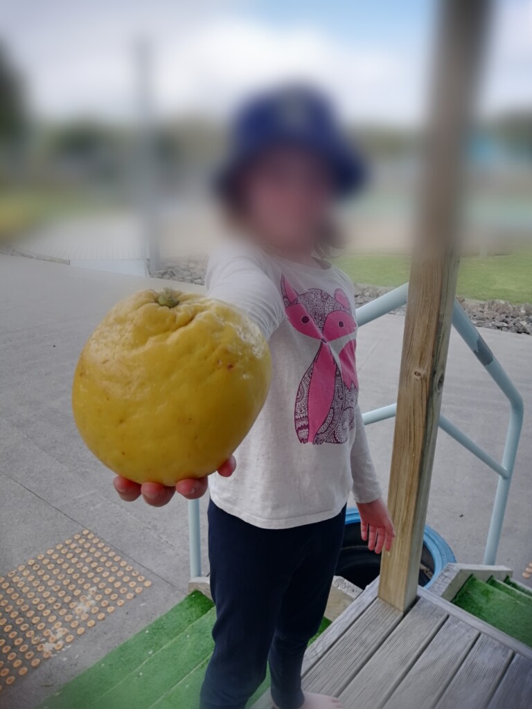 Week 1 Newsletter. Term 4, 2023 – Otaika Valley School